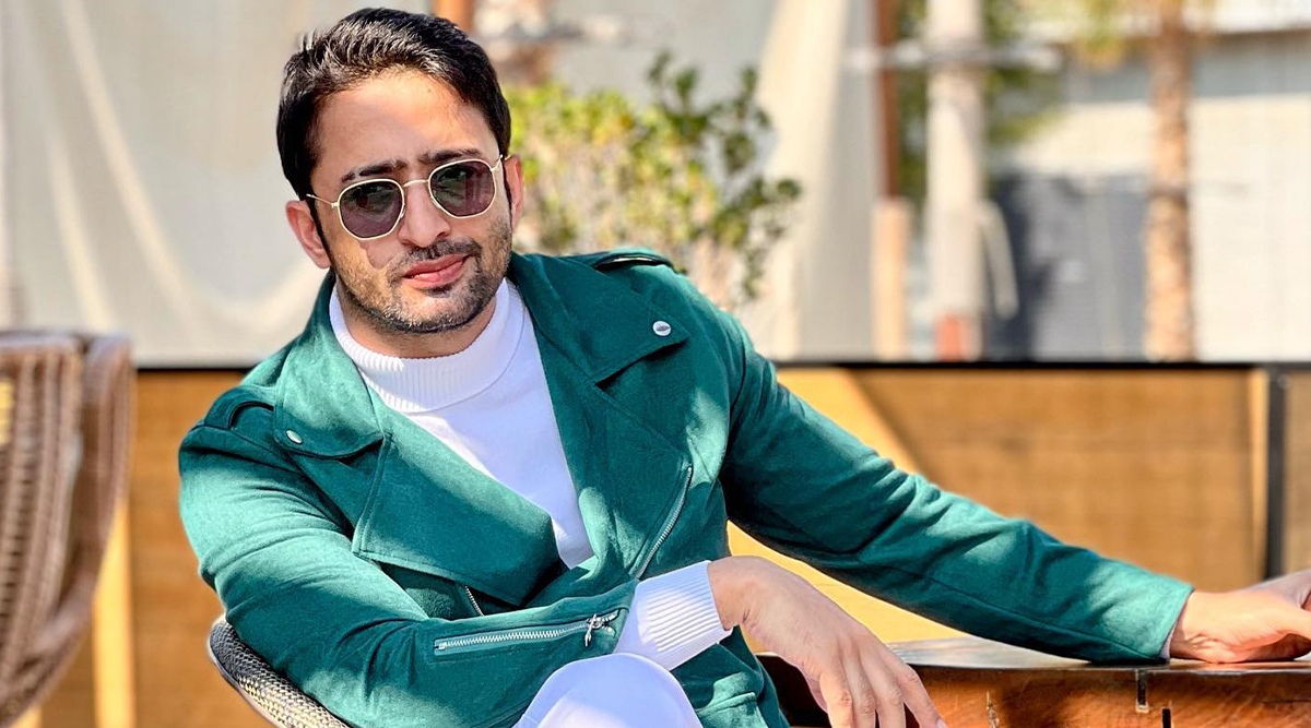 Woh Toh Hai Albela Actor Shaheer Sheikh All Set To Mark His OTT DEBUT ...